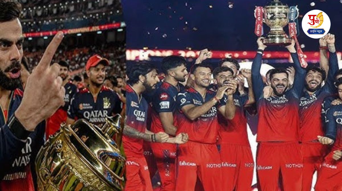 RCB संघाच्या बक्षिसाची रक्कम किती? मिळाले 'इतके' कोटी रुपये, जाणून घ्या ...